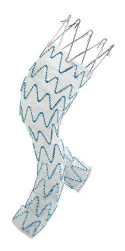 Endurant™ II/IIs Stent Graft System | Medtronic