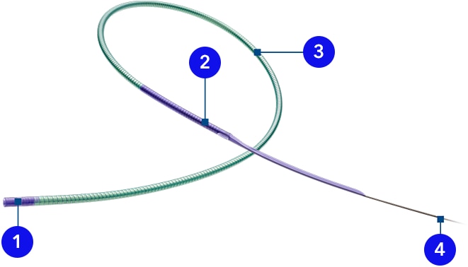 Telescope™ Guide Extension Catheter | Medtronic