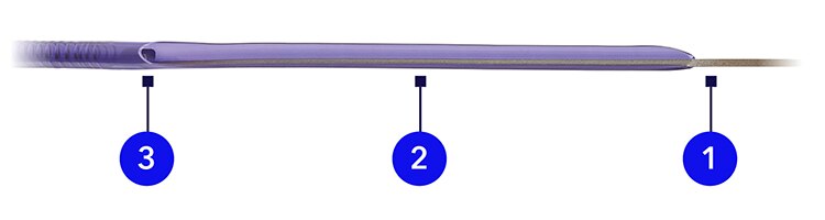 Telescope™ Guide Extension Catheter | Medtronic