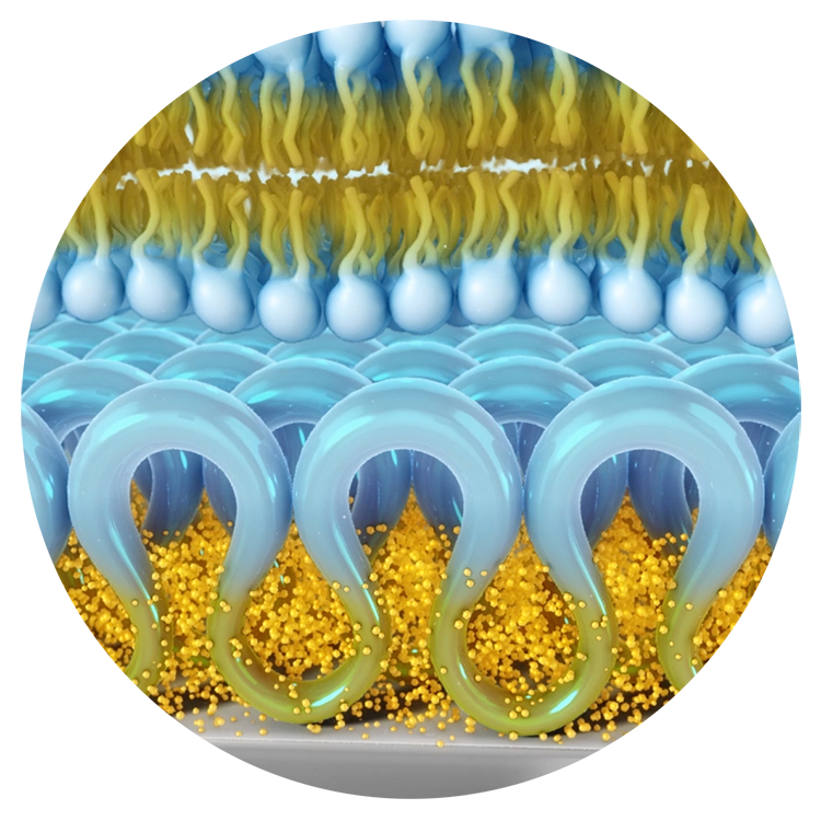 Onyx Frontier™ Drug-Eluting Stent (DES) | Medtronic