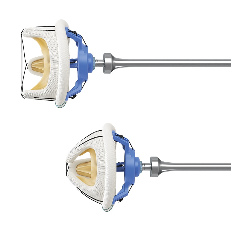 Mosaic™ Mitral Bioprosthesis | Medtronic