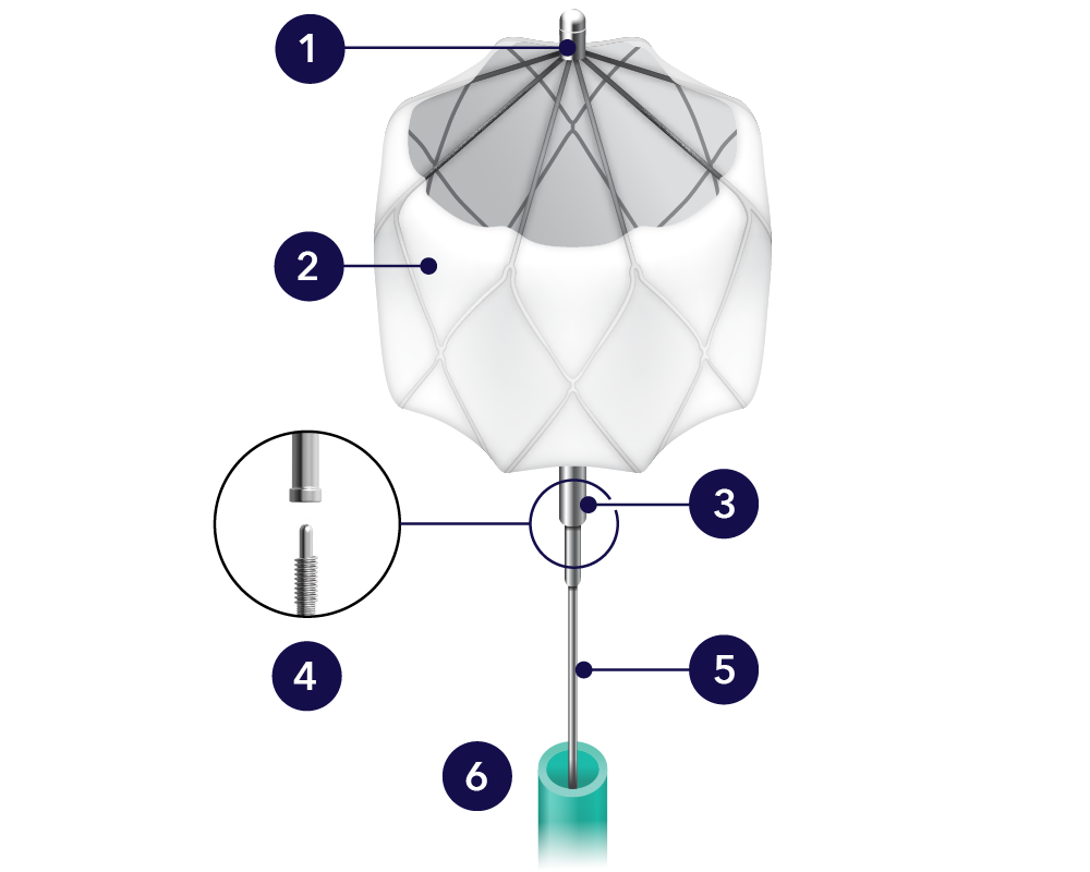 MVP™ Micro Vascular Plug System - Peripheral Embolization | Medtronic