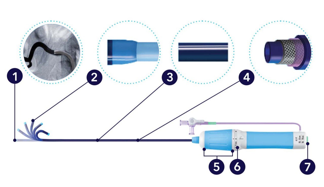 TourGuide™ Steerable Sheath | Medtronic