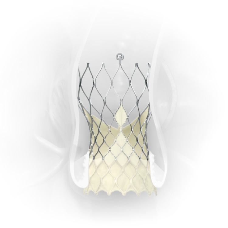 Durability - Transcatheter Aortic Valve Replacement | Medtronic