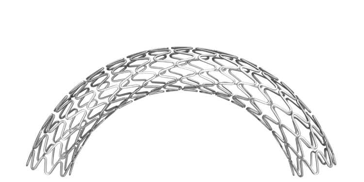 Sistema de Stent Liberador de Fármaco Resolute Onyx™ | Medtronic (CO)